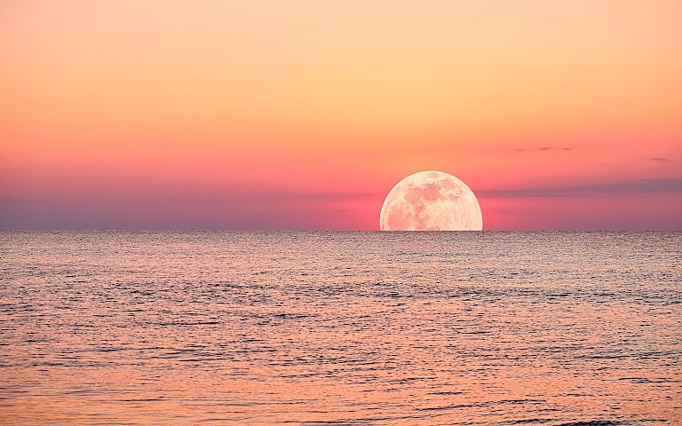 Level 11 Rooftop Bar & Lounge - Dine Beachfront at The Bellwether ...